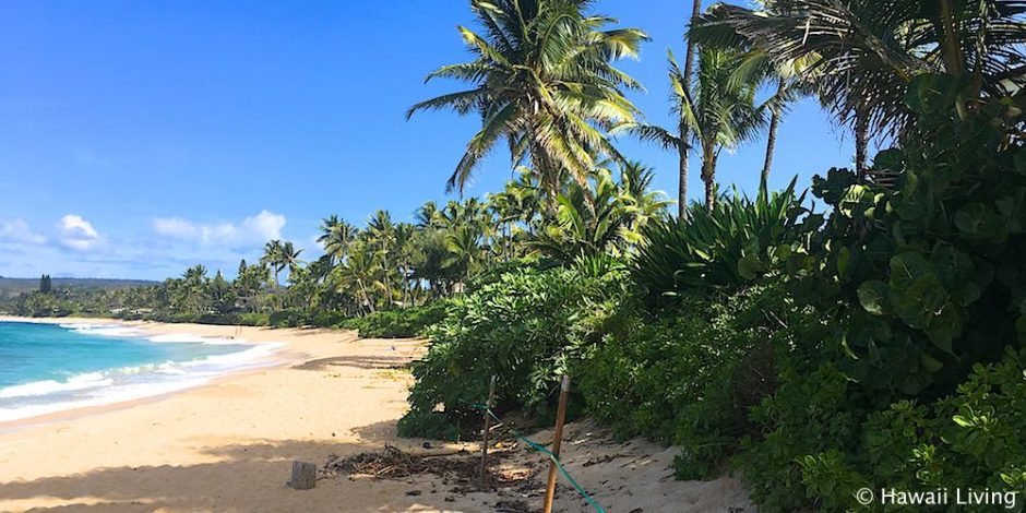 Lost and Now Found: North Shore’s Papa`iloa Paradise
